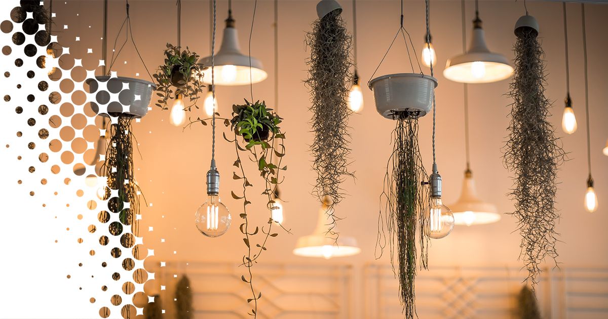 Restaurant Utility Costs 8 Ways To Save Energy Money The Planet